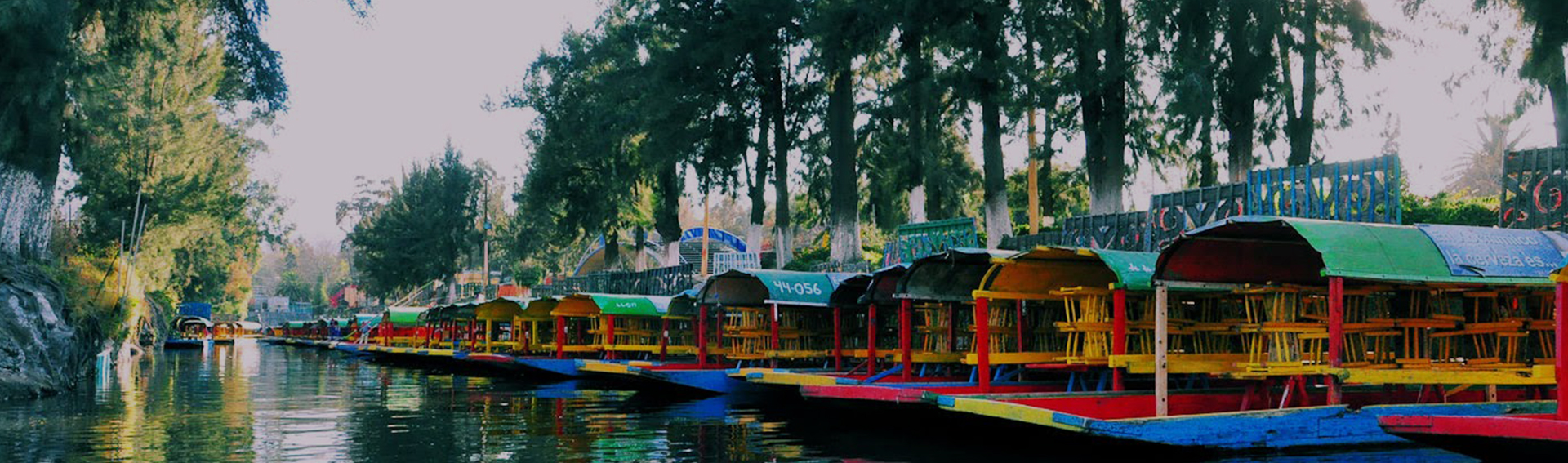 De la Chinampa – Productos de la mejor calidad